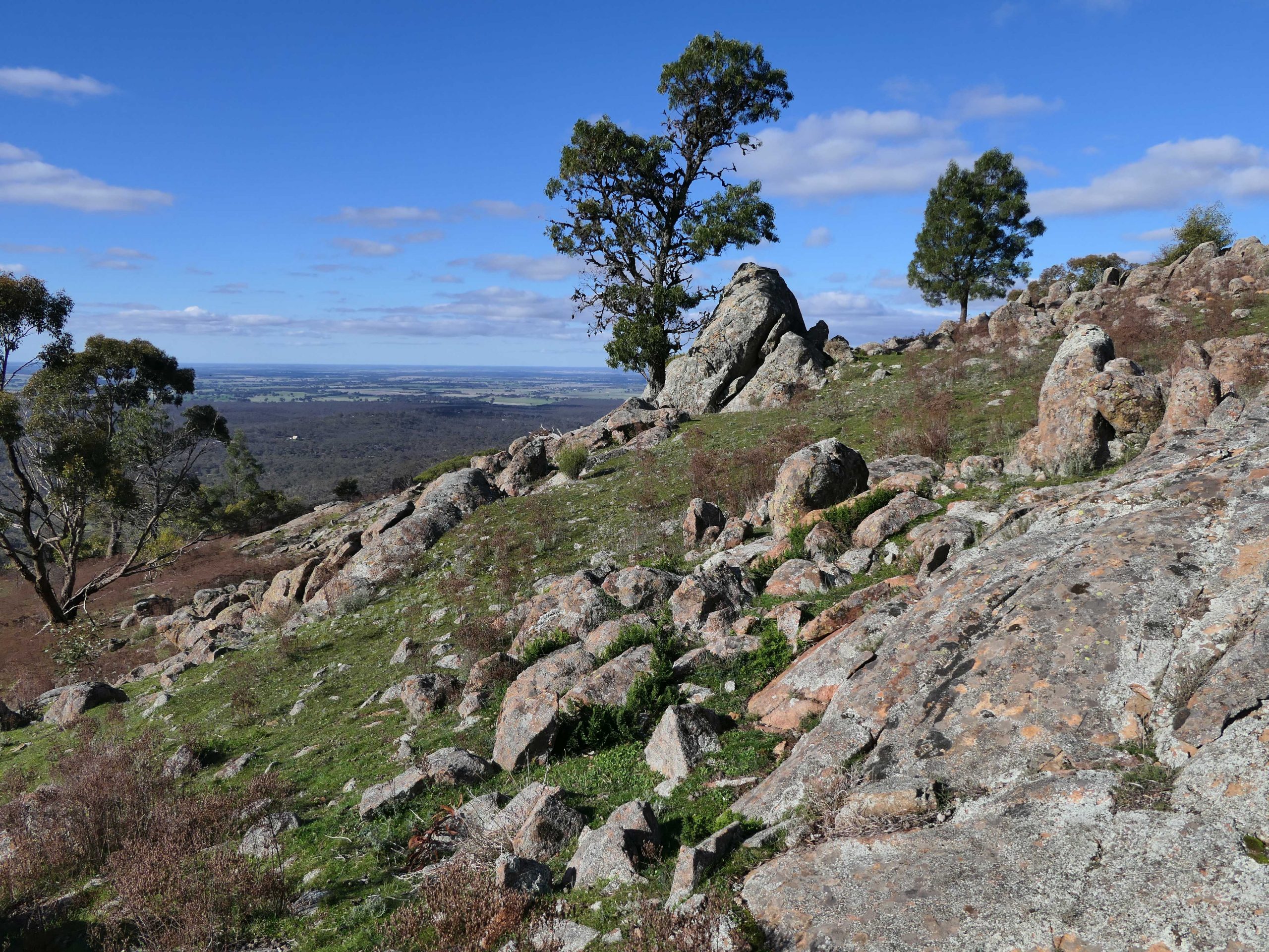 Innovative study provides new ideas for gold and base metals explorers ...