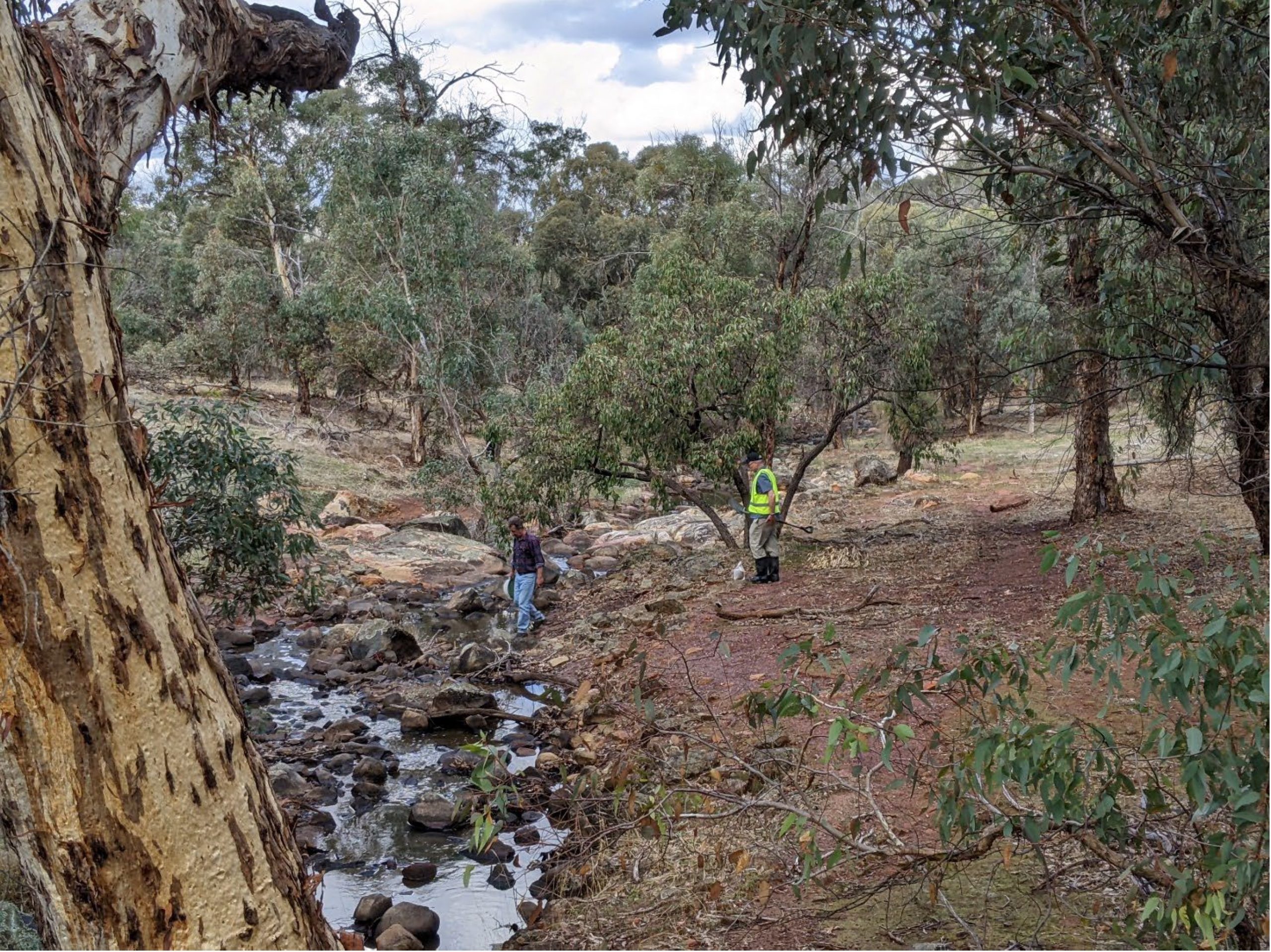 Heavy mineral surprise: a new technique for discovery of the next ...